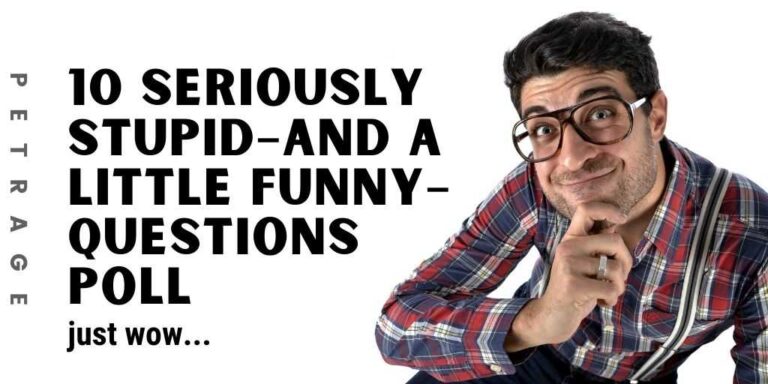 Seriously Stupid and a Little Funny Questions Poll - PETRAGE