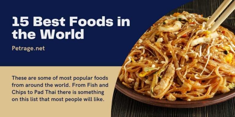 15 Best Foods in the World - PETRAGE