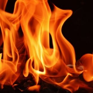 You Have to Pick a Side! - PETRAGE