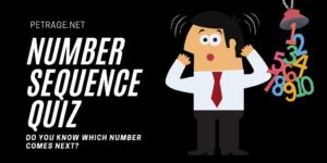 Number Sequence Quiz - PETRAGE