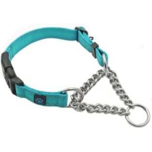 7 Most Popular Types of Dog Collars-Pros and Cons