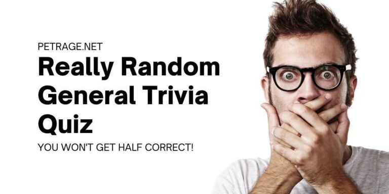 Really Random General Trivia Quiz - PETRAGE