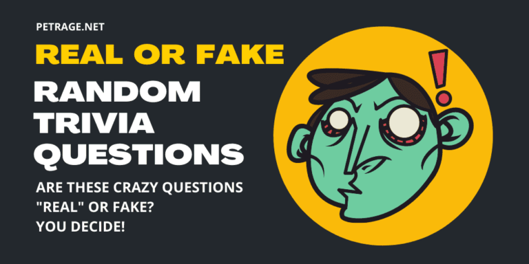 Real or Fake Random Trivia Questions - PETRAGE