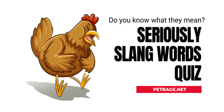 Seriously Slang Words Quiz - PETRAGE