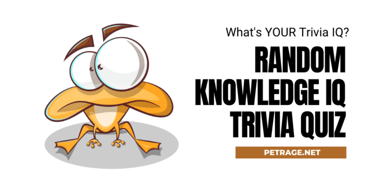 Random Knowledge IQ Trivia Quiz - PETRAGE