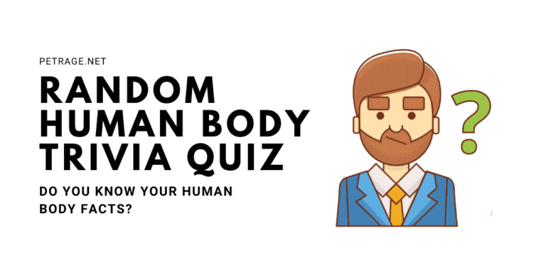 Random Human Body Trivia Quiz - PETRAGE