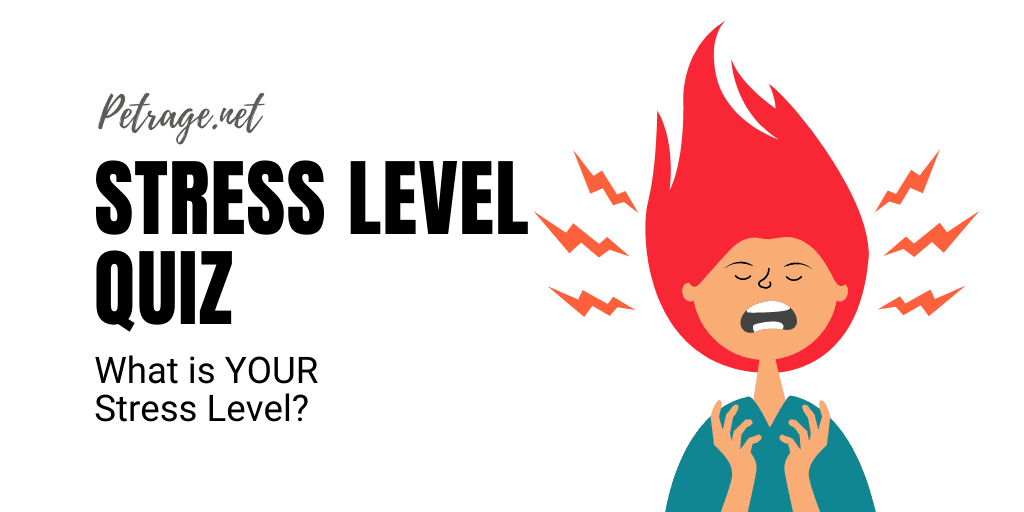 Stress Level Quiz - PETRAGE