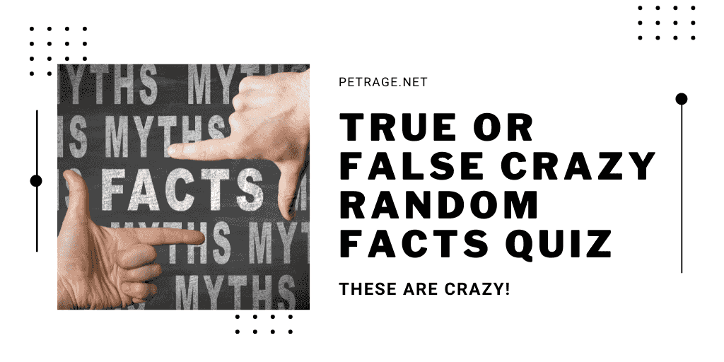 True or False Crazy Random Facts Quiz - PETRAGE