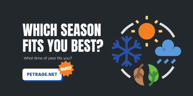 Which Season Fits you Best Quiz - PETRAGE