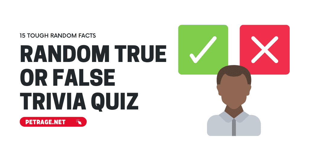 Random True or False Trivia Quiz - PETRAGE