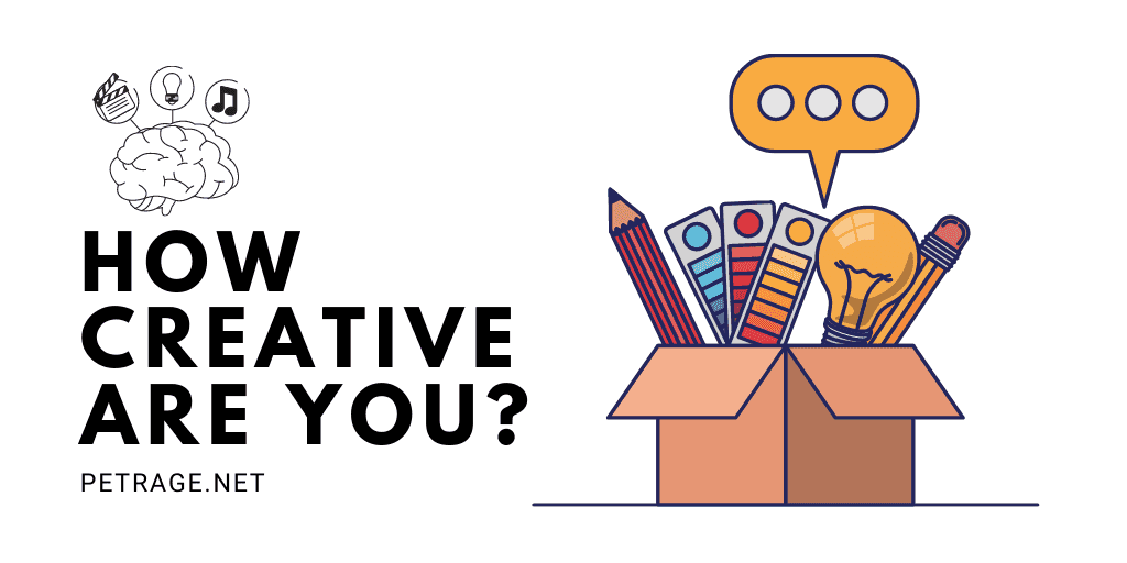 How Creative are You Quiz - PETRAGE