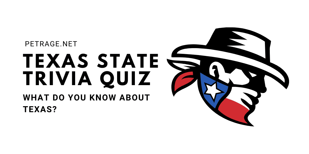 Texas State Trivia Quiz - Petrage