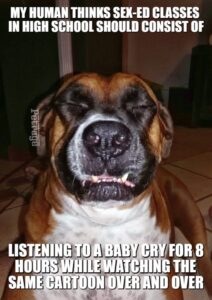 Funny - Sarcastic - Shocking Dog Memes
