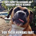 Funny - Sarcastic - Shocking Memes - PETRAGE