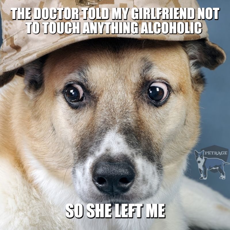 Alcoholic Dog Meme - PETRAGE