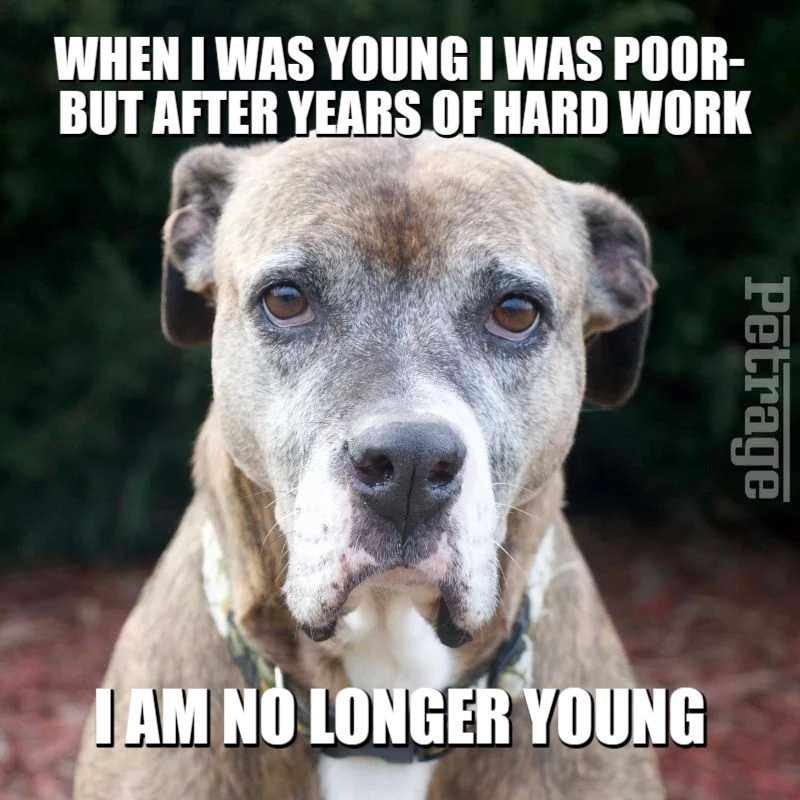 Random Meme Generator