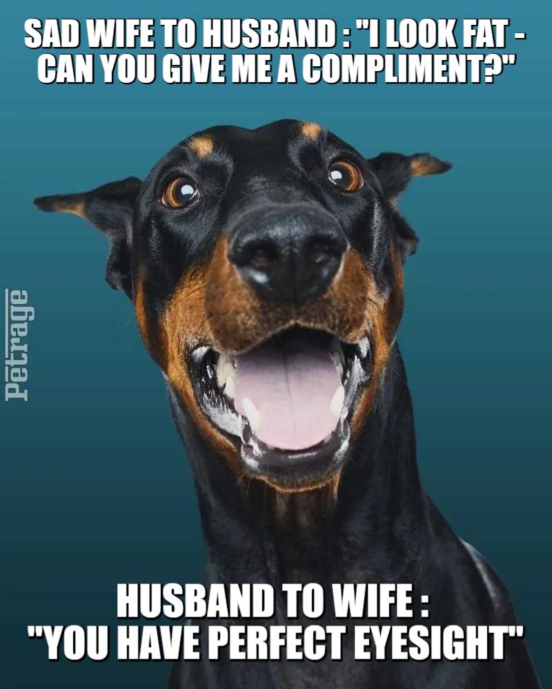 Give Me A Compliment Meme - PETRAGE