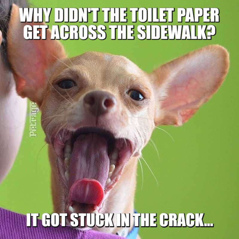 Petrage Toilet Paper Meme - PETRAGE