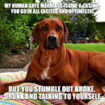 13 Interesting Facts about Rhodesian Ridgebacks