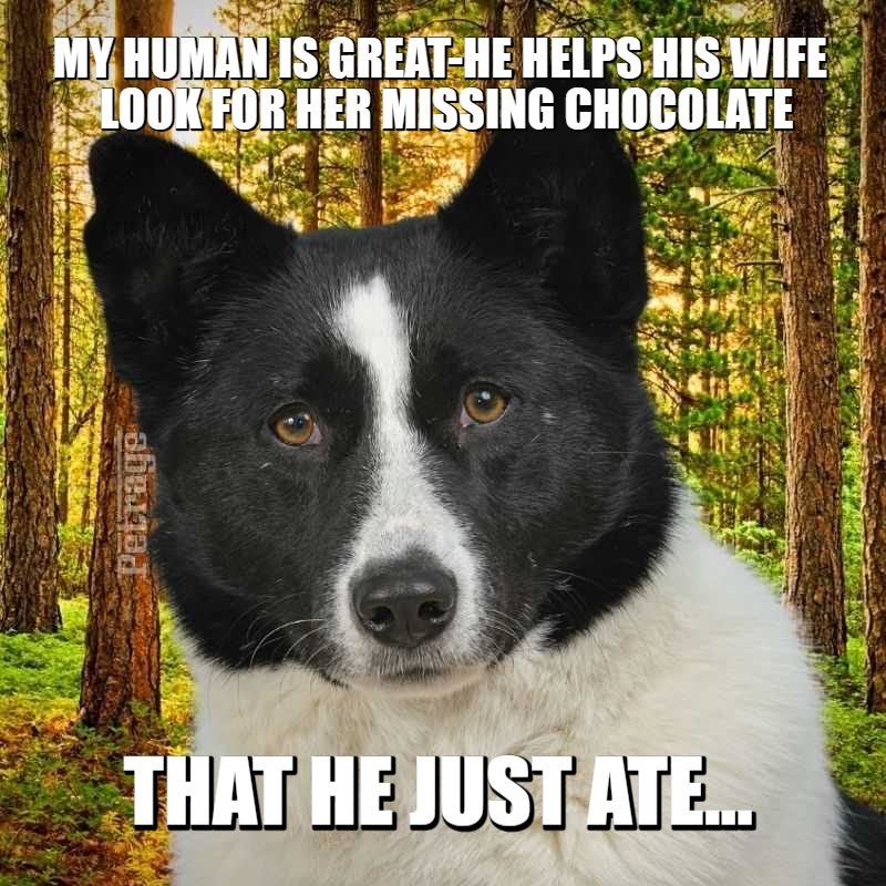 KBD Chocolate Meme - PETRAGE