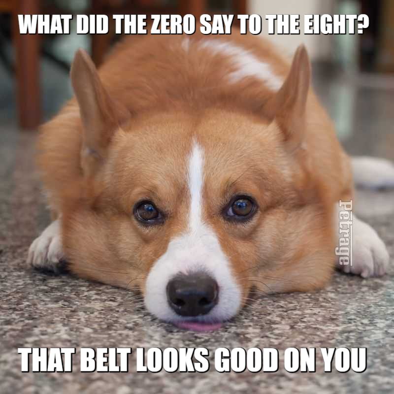 Random Meme Generator