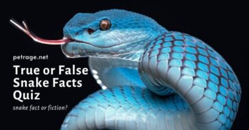 True or False Snake Trivia Quiz