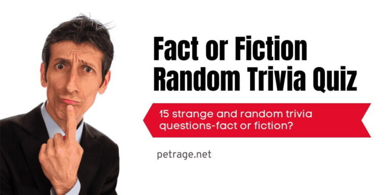 Fact or Fiction Random Trivia Quiz