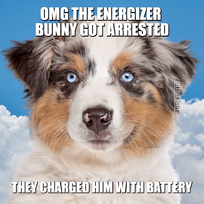 Sparks with another Shocking, Sarcastic Meme