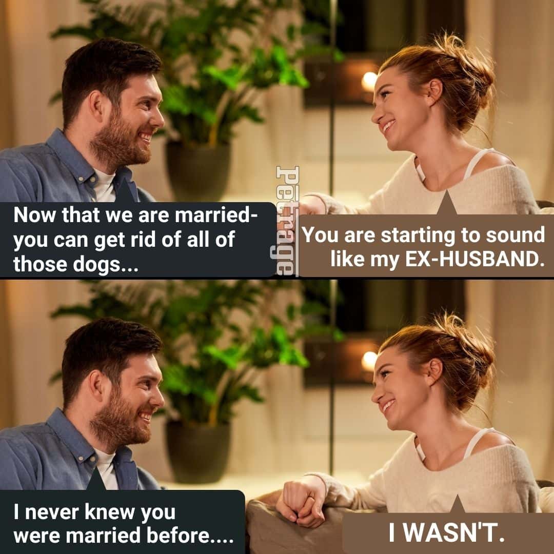 Ex Husband Dog Meme - PETRAGE