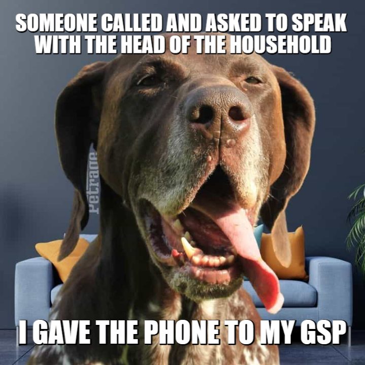 GSP Head of the Household Meme - PETRAGE