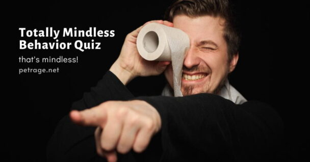 Mindless Behavior Quiz - PETRAGE