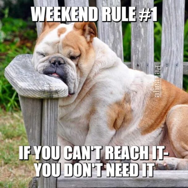 Sarcastic Boxer Dog Lazy Weekend Meme - PETRAGE