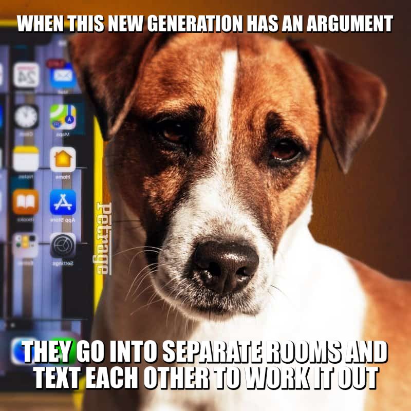 Jack Russell Terrier Working it Out Meme