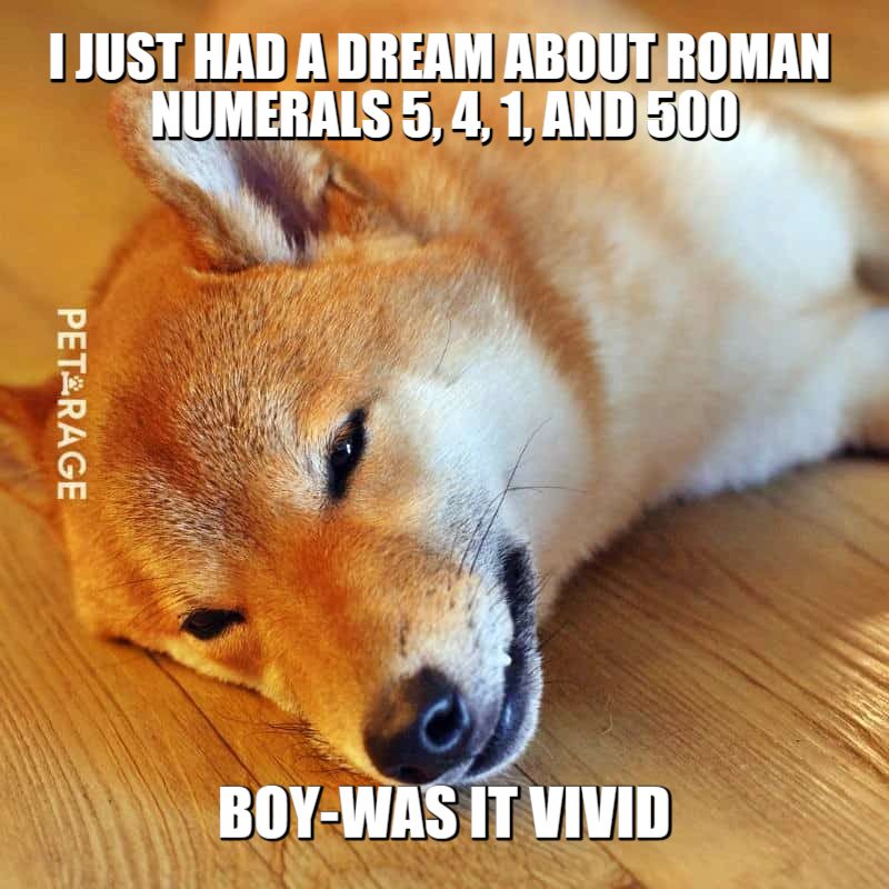 Shiba Inu Roman Numerals Dream Meme - PETRAGE