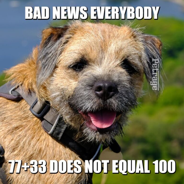 Funny - Sarcastic - Shocking Dog Memes