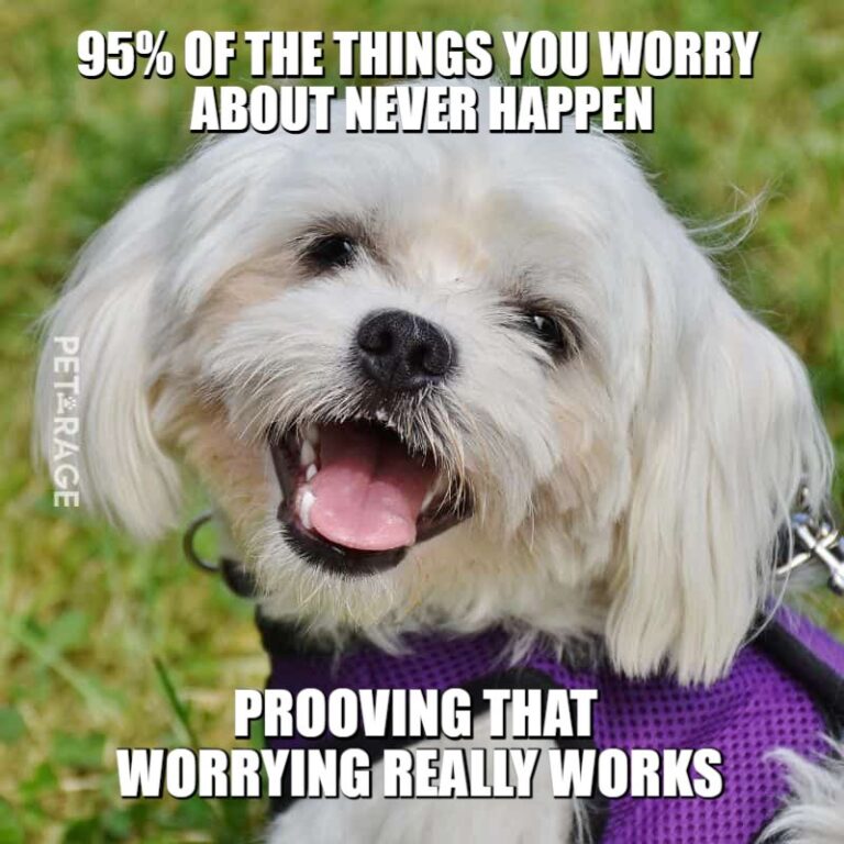 Pass the Sunscreen Meme - PETRAGE