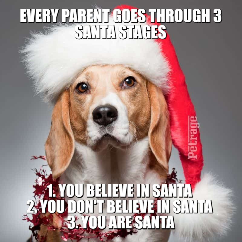 Beagle Santa Stages Meme - PETRAGE
