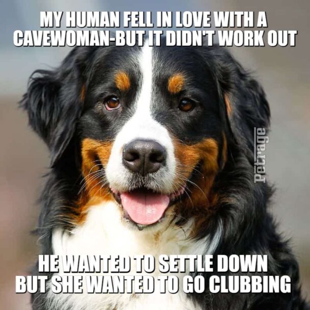 Funny - Sarcastic - Shocking Dog Memes