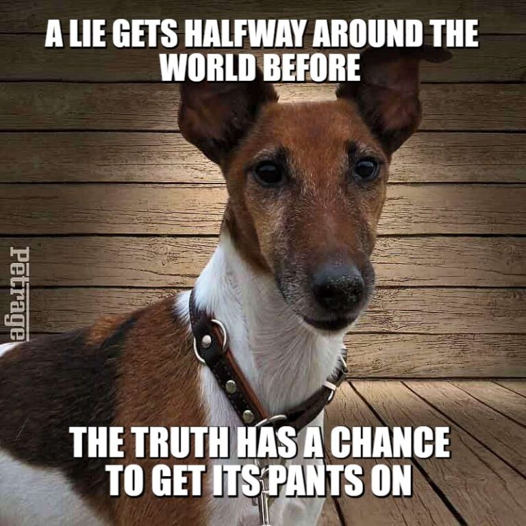 Jack Russell Terrier Naked Human Meme - PETRAGE