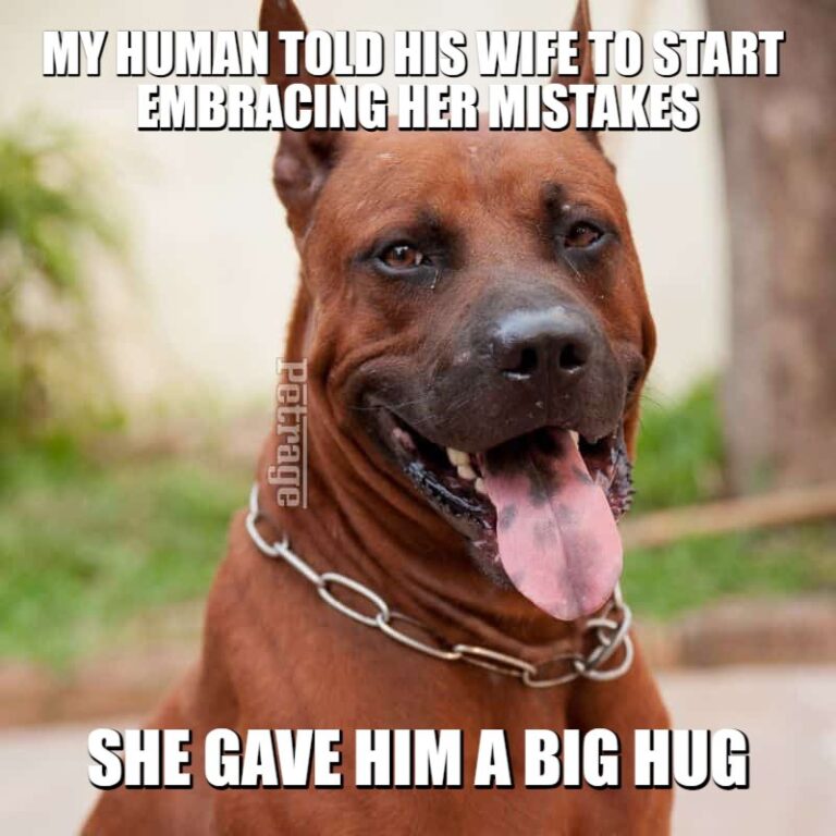 Thai Ridgeback Embrace Your Mistakes Meme - PETRAGE