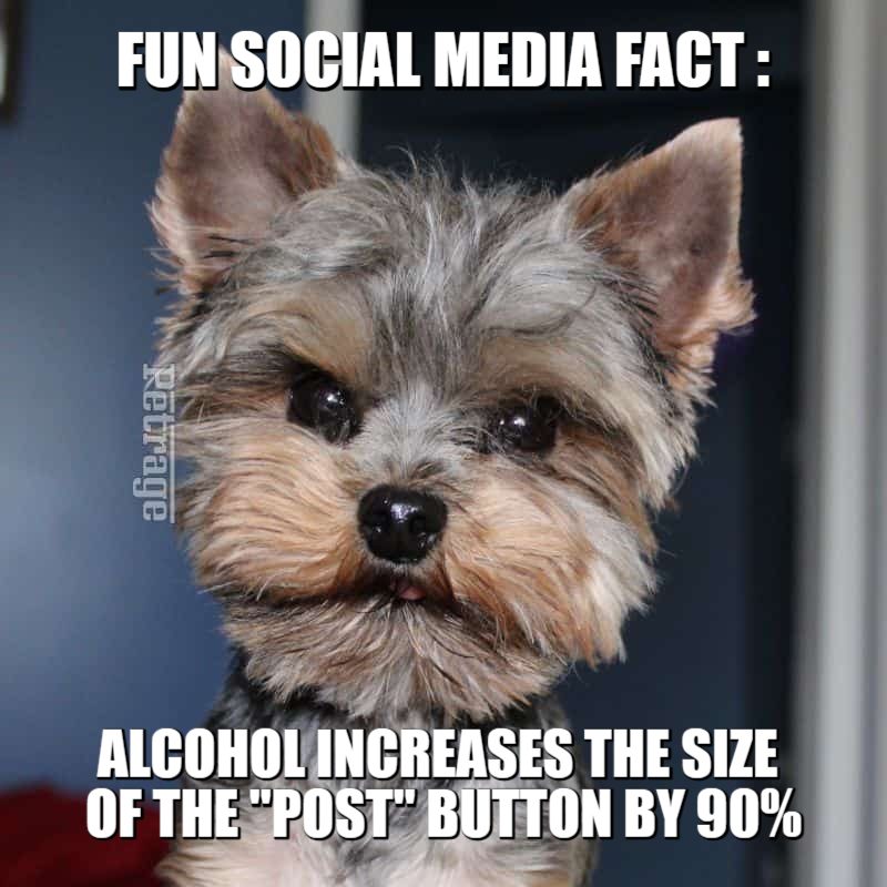 The Dog Licking Meme - PETRAGE