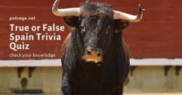 Spain Trivia Quiz-True or False? - PETRAGE