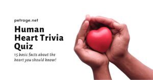 Human Heart Trivia Quiz: Test Your Cardiac Knowledge!
