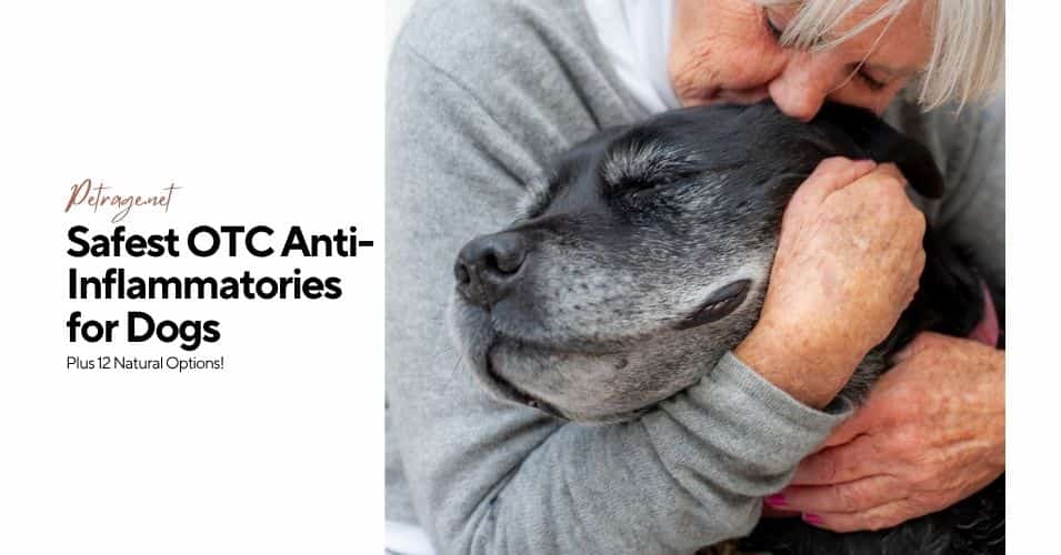 Safest OTC Anti-Inflammatories for Dogs