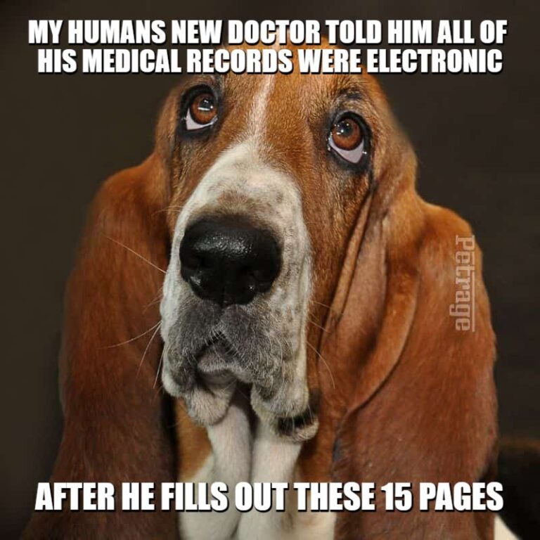 Funny - Sarcastic - Shocking Memes - PETRAGE