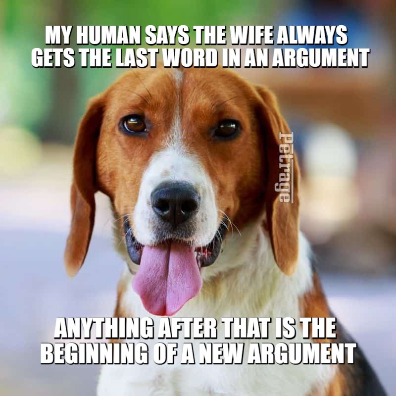 Funny - Sarcastic - Shocking Memes - PETRAGE