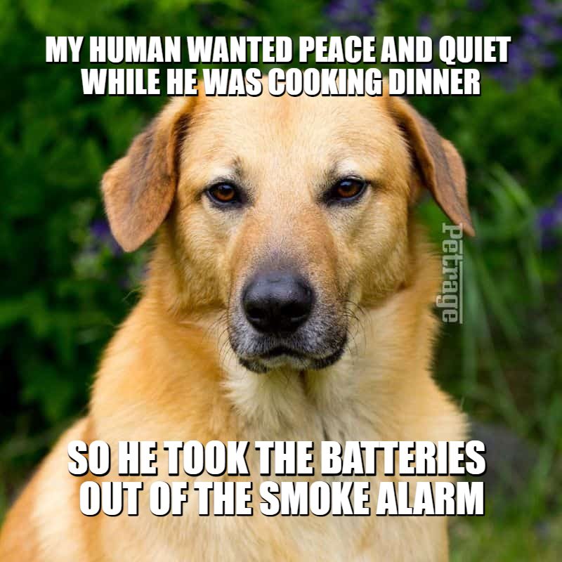 Chinook Cooking Meme - PETRAGE