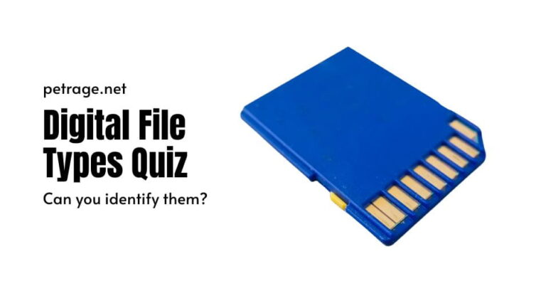 Digital File Types Quiz - PETRAGE