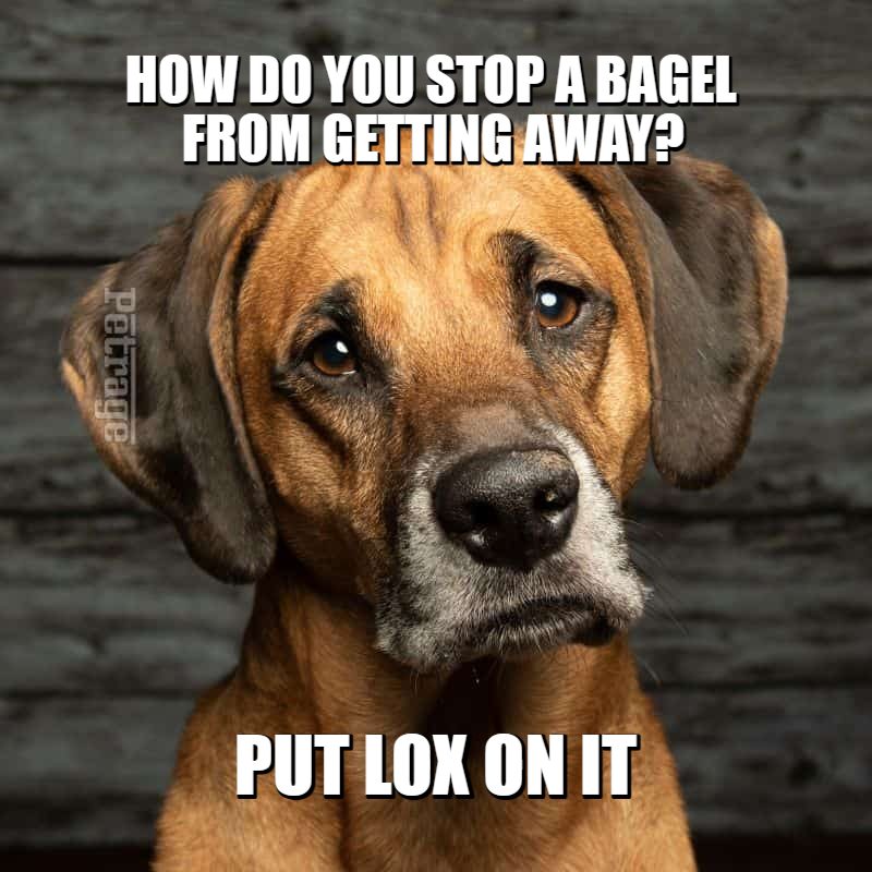 Bagel and Lox Meme - PETRAGE