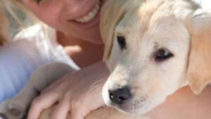 13 Things First-Time Dog Owners Must Know